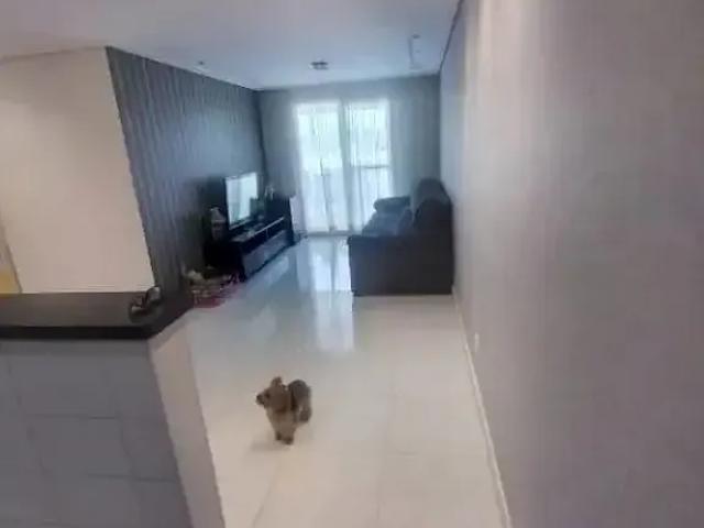 Apartamento para Venda em São Paulo/SP Vila Formosa 3 Quartos