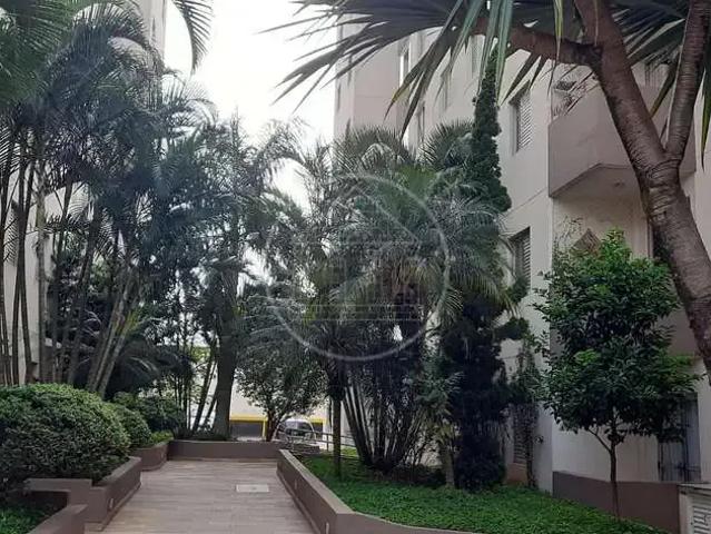 Apartamento para Venda em São Paulo/SP Vila Inglesa 3 Quartos