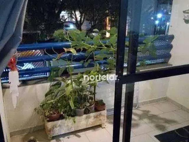 Apartamento para Venda em São Paulo/SP Vila Ipojuca 3 Quartos