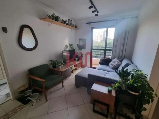 Apartamento para Venda em São Paulo/SP Vila Monte Alegre 2 Quartos