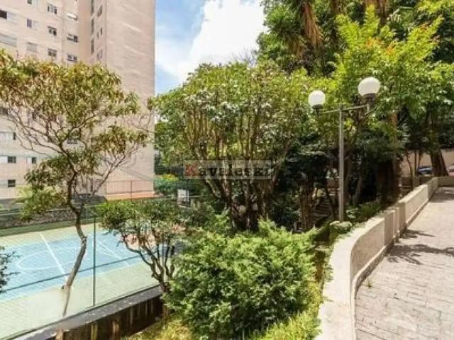 Apartamento para Venda em São Paulo/SP Vila Moraes 3 Quartos