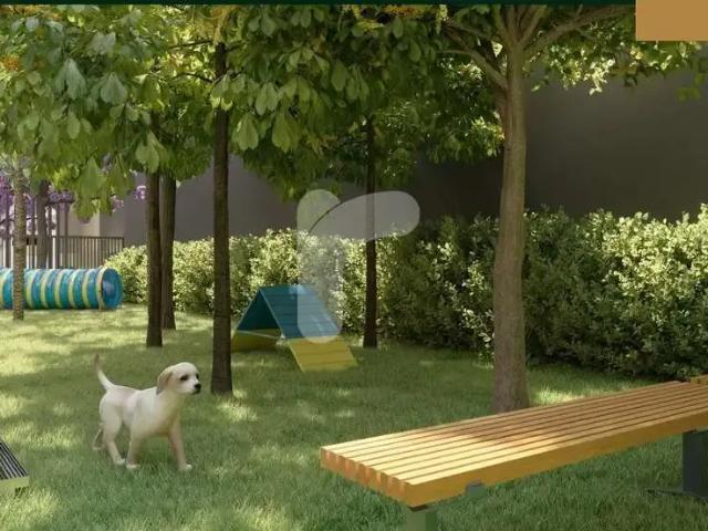 Apartamento para Venda em São Paulo/SP Vila Mariana 3 Quartos