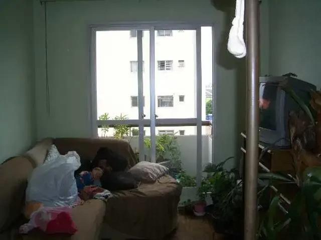 Apartamento para Venda em São Paulo/SP Vila Marieta 2 Quartos