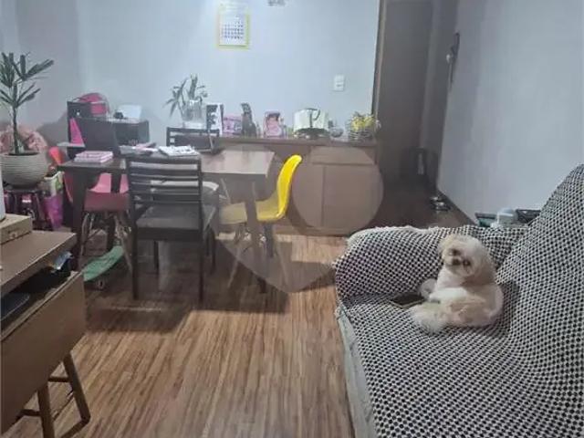 Apartamento para Venda em São Paulo/SP Vila Nova Cachoeirinha 3 Quartos