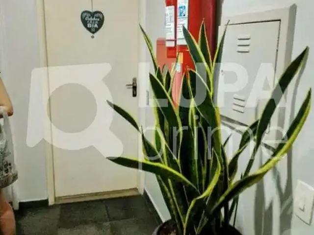 Apartamento para Venda em São Paulo/SP Vila Nova Cachoeirinha 2 Quartos