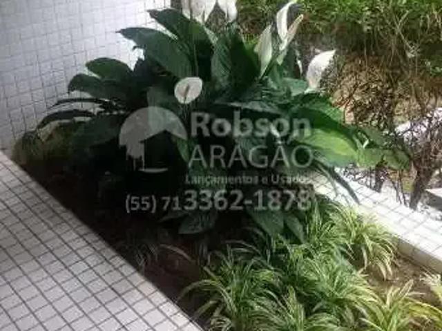 Apartamento para Venda em Salvador/BA Brotas 2 Quartos