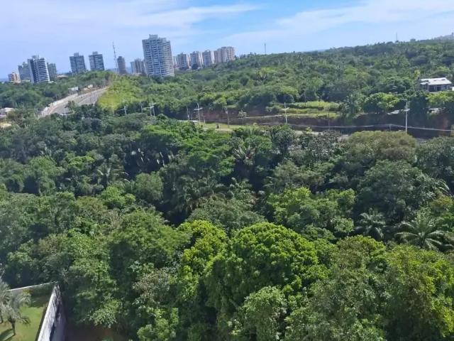 Apartamento para Venda em Salvador/BA Patamares 3 Quartos