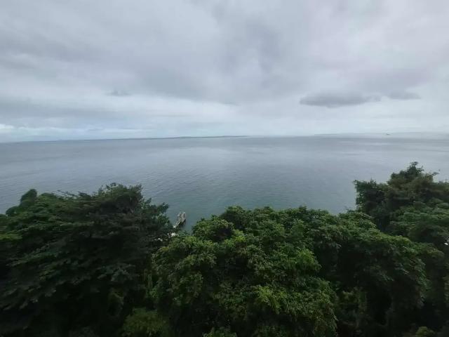 Apartamento para Venda em Salvador/BA Vitória 4 Quartos
