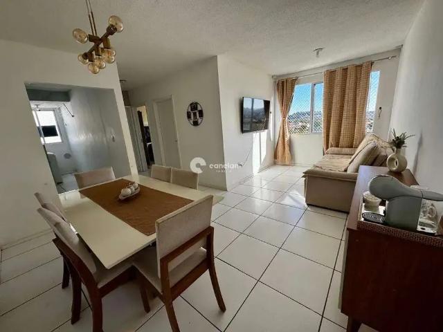Apartamento para Venda em Santa Maria/RS Pinheiro Machado 2 Quartos