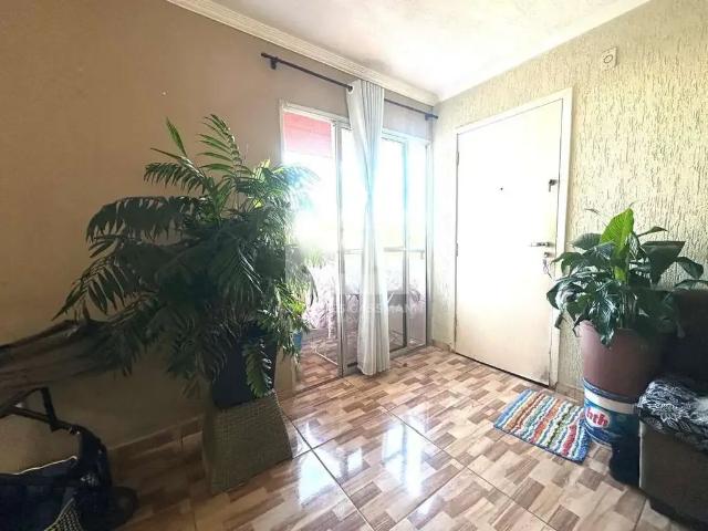 Apartamento para Venda em Santo André/SP Jardim Alzira Franco 2 Quartos