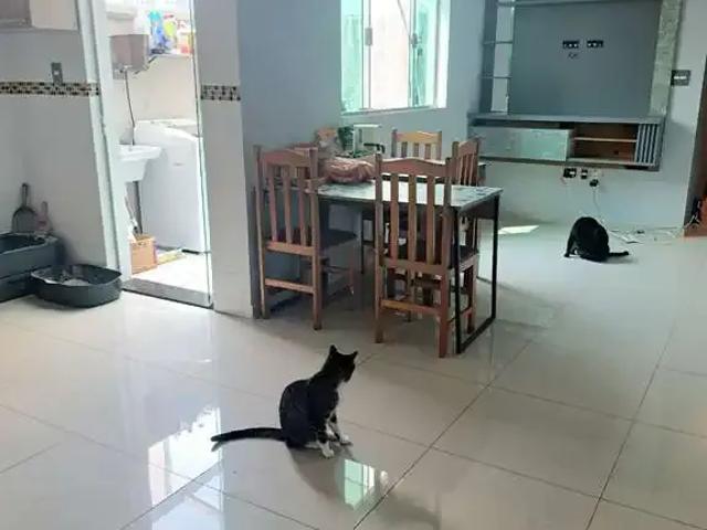 Apartamento para Venda em Santo André/SP Vila Eldízia 3 Quartos