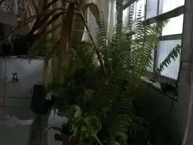 Apartamento para Venda em Santos/SP Marapé 2 Quartos
