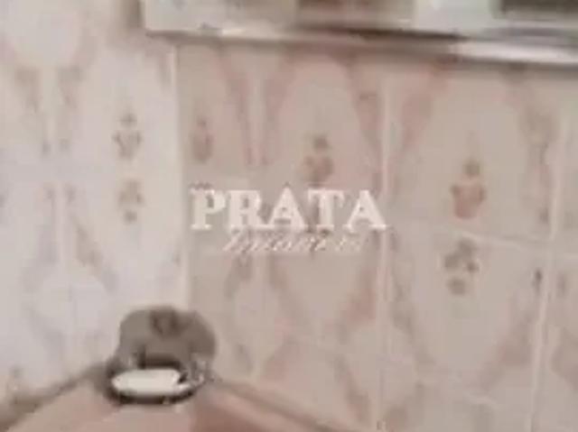 Apartamento para Venda em Santos/SP Aparecida 2 Quartos