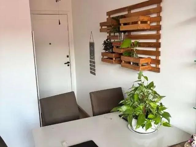 Apartamento para Venda em Santos/SP Campo Grande 2 Quartos