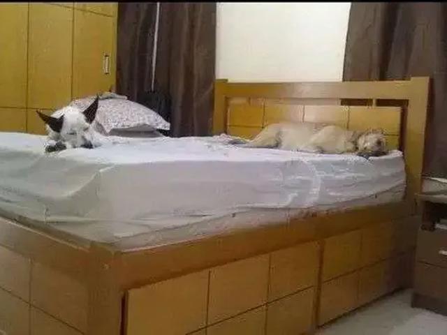 Apartamento para Venda em Santos/SP Gonzaga 3 Quartos