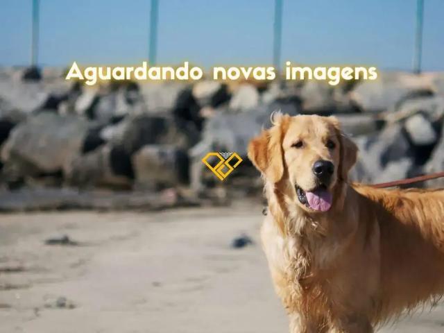 Apartamento para Venda em Santos/SP Ponta da Praia 1 Quartos