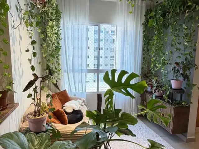 Apartamento para Venda em Serra/ES Manguinhos 2 Quartos