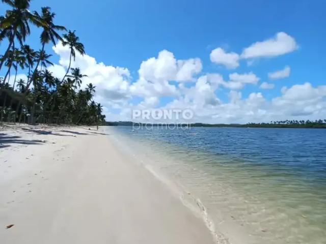 Apartamento para Venda em Tamandaré/PE Praia Dos Carneiros 3 Quartos