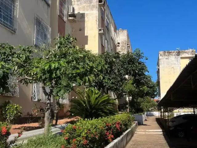 Apartamento para Venda em Teresina/PI Monte Castelo 3 Quartos