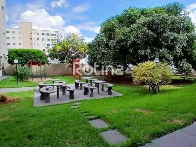 Apartamento para Venda em Uberlândia/MG Umuarama 3 Quartos