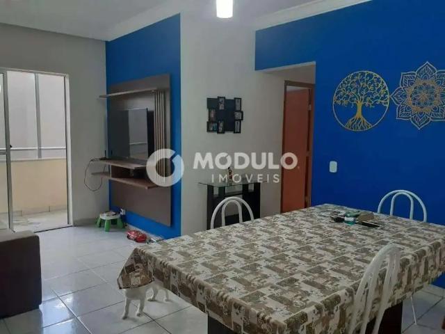 Apartamento para Venda em Uberlândia/MG Chácaras Tubalina e Quartel 3 Quartos