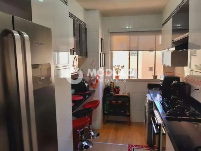 Apartamento para Venda em Uberlândia/MG Chácaras Tubalina e Quartel 3 Quartos