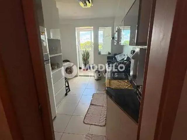 Apartamento para Venda em Uberlândia/MG Conjunto Segismundo Pereira 3 Quartos