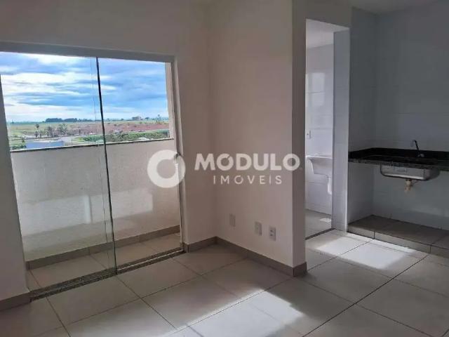 Apartamento para Venda em Uberlândia/MG Segismundo Pereira 2 Quartos