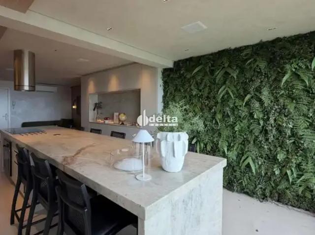 Apartamento para Venda em Uberlândia/MG Jardim Sul 3 Quartos