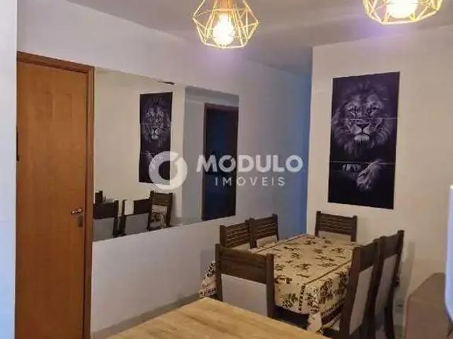 Apartamento para Venda em Uberlândia/MG Laranjeiras 2 Quartos