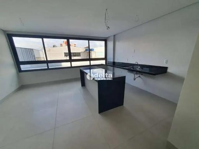 Apartamento para Venda em Uberlândia/MG Nossa Senhora Aparecida 3 Quartos