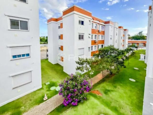 Apartamento para Venda em Viamão/RS Santa Isabel 2 Quartos