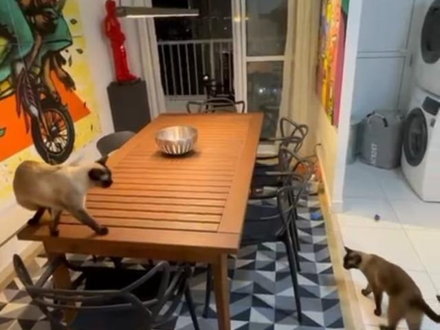 Apartamento para venda em Vila Nilva em Barueri São Paulo de 45.00m² com 2 Quartos e 2 Garagens