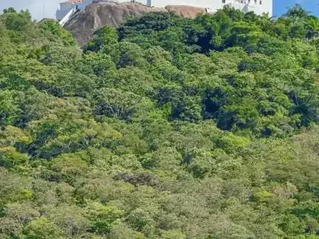 Apartamento para Venda em Vila Velha/ES Praia da Costa 3 Quartos