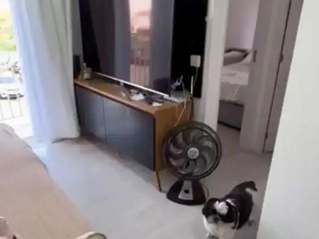 Apartamento para Venda em Votorantim/SP Vossoroca 2 Quartos