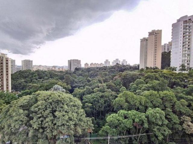 Apartamento Para Venda 3993 Avenida Giovanni Gronchi, Vila Andrade, Morumbi, São Paulo, São Paulo