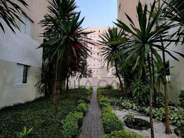 Apartamento para venda 3 quartos 1 vaga lazer club