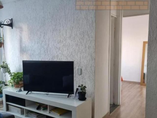 Apartamento, Parque Ipê, São Paulo, SP