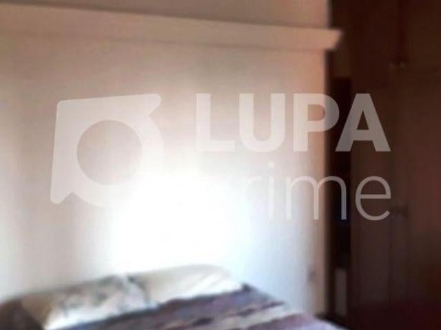 APARTAMENTO PARQUE MANDAQUI
