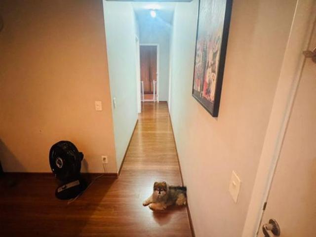 Apartamento, Parque Maria Helena, São Paulo, SP
