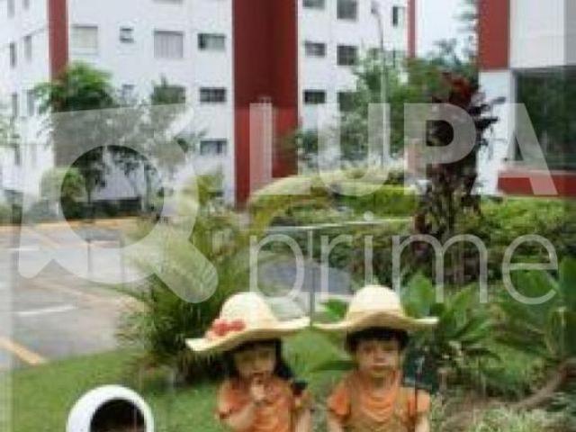 APARTAMENTO PEDRA BRANCA