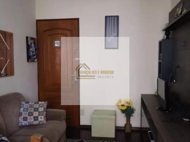 Apartamento, Pedreira, São Paulo, SP
