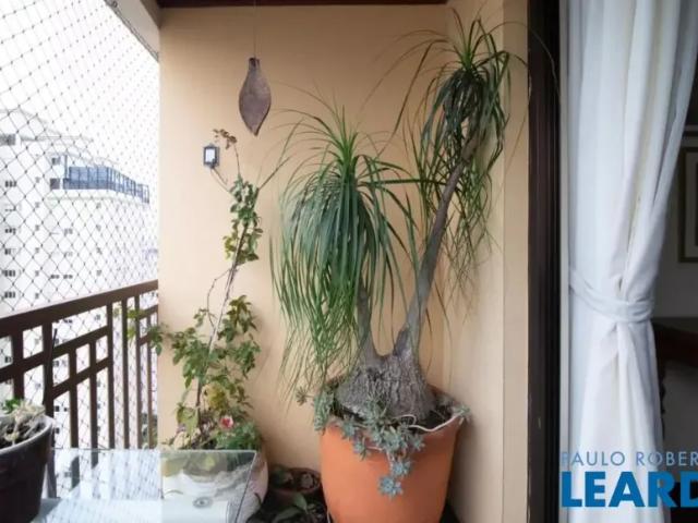 Apartamento perdizes sp
