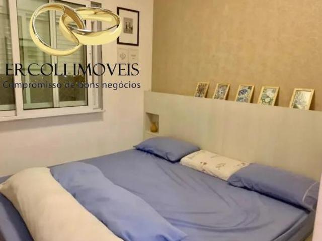 Apartamento, Pirituba, São Paulo, SP