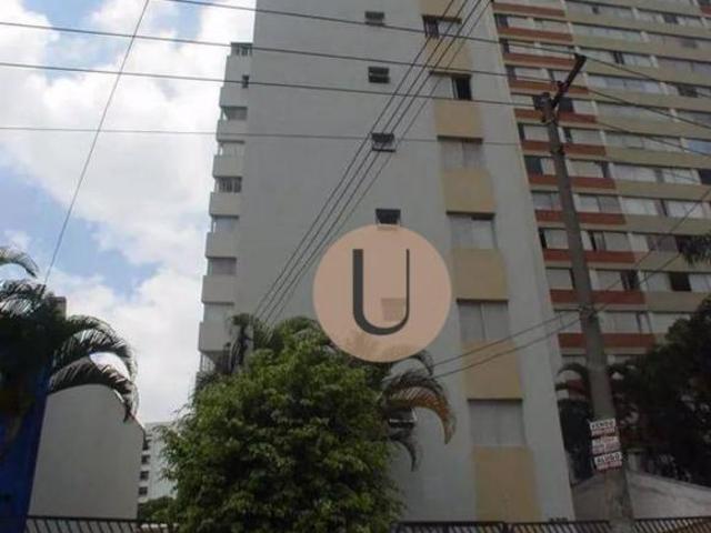 Apartamento Residencial à venda, Perdizes, São Paulo AP0461