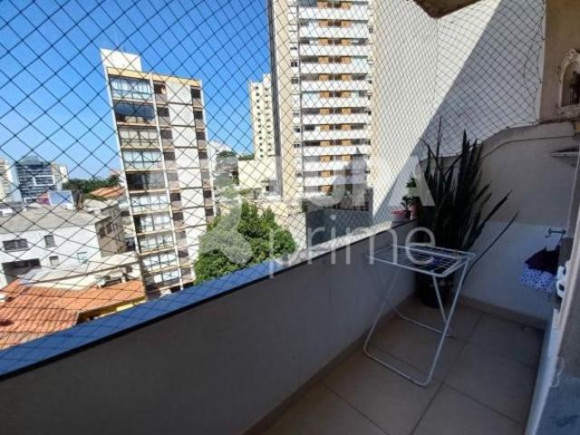 Apartamento Residencial com 3 dormitórios locação em Santana