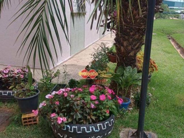 Apartamento Residencial / Jardim Ester