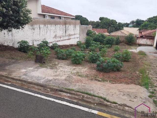 Terreno, Residencial Novo Tarraf, Catanduva, SP