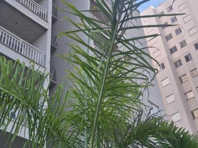 Apartamento Residencial para Venda no Portal Recantos de Lugano Sumaré SP