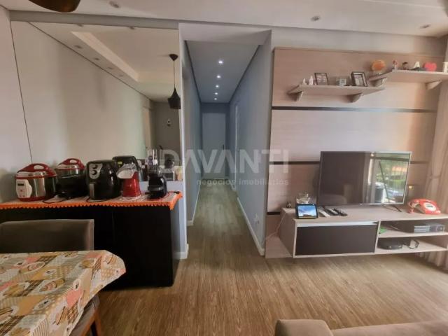 Apartamento São Bernardo Campinas